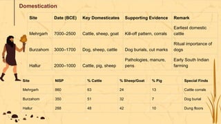 Neolithic and Early Domestication: An Introduction | PPT