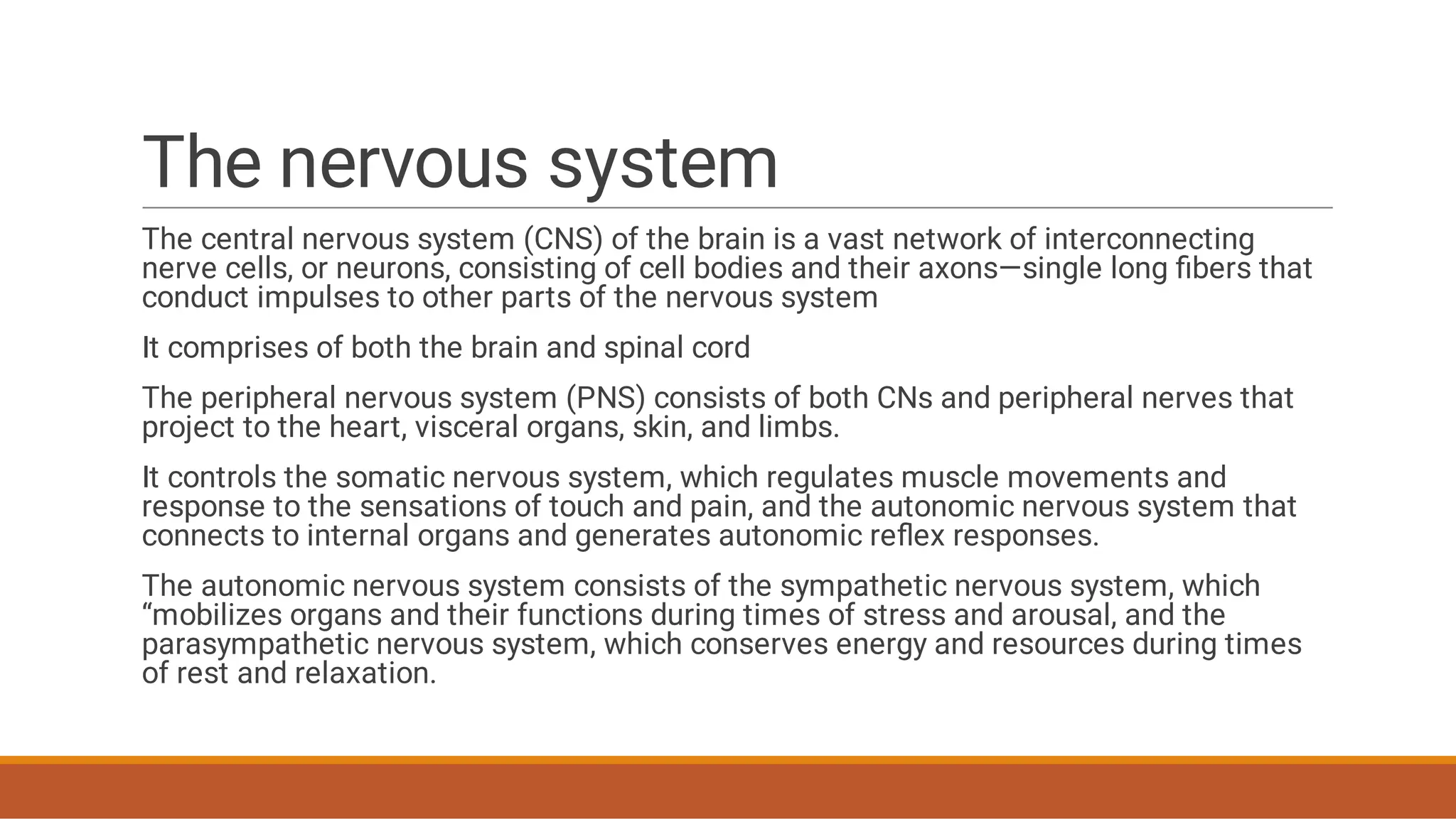 5._CNS_ _MSK_(1)[1].pdf central nerveous | PDF