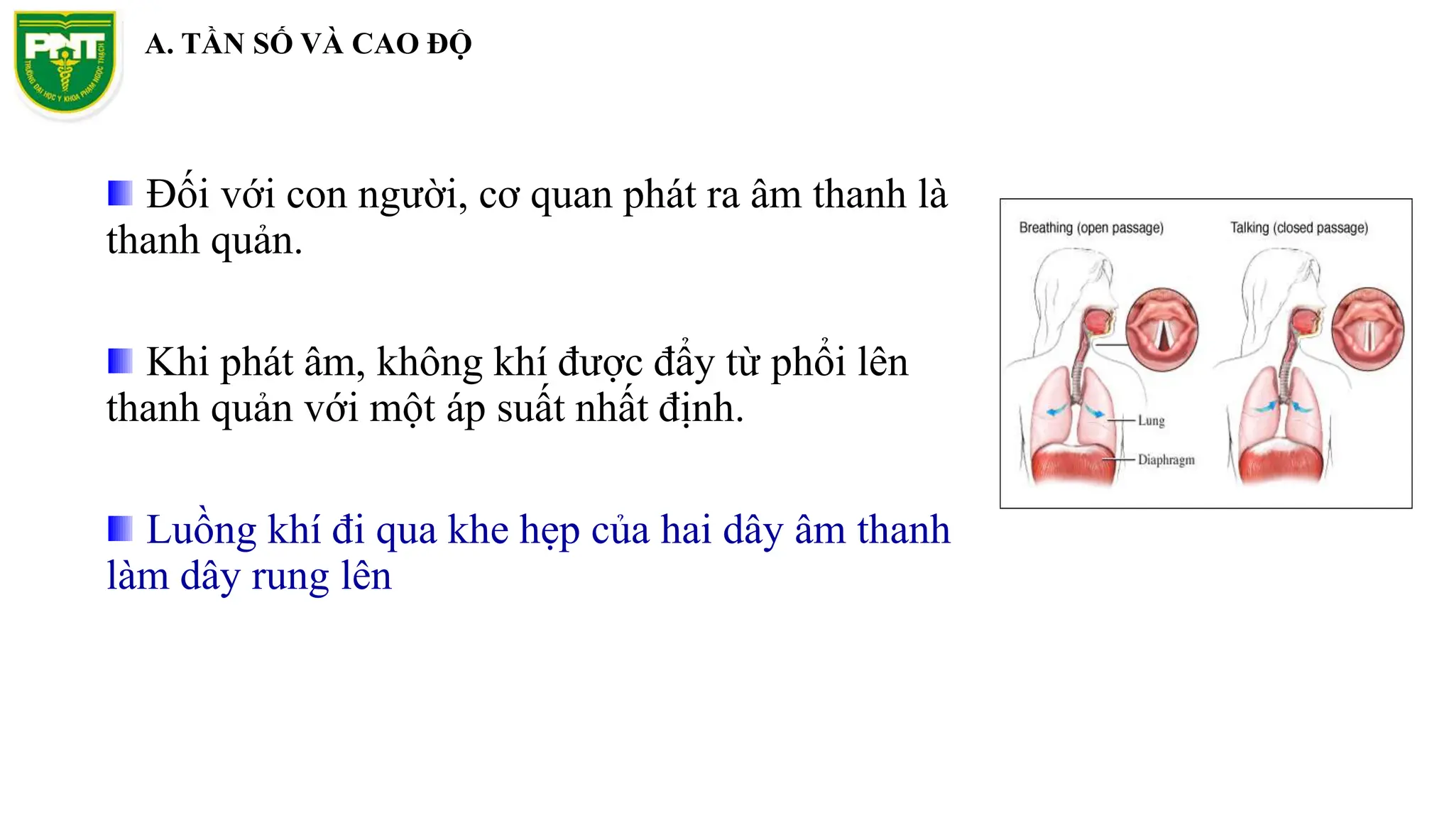 5.2.Âm và siêu âmssssssssssssssssssssssssssssssss.pdf