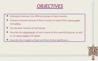 Muscles of the Back Region in Anatomy.pptx