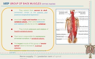 Muscles of the Back Region in Anatomy.pptx