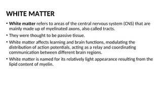 The Major white matter pathways in the Brain..ppt