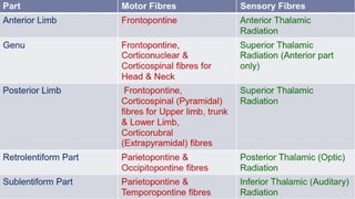 The Major white matter pathways in the Brain..ppt