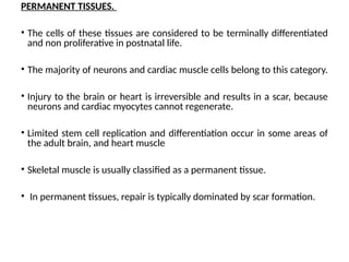 5. TISSUE REPAIR AND REGENERATION.pptx for education | PPTX