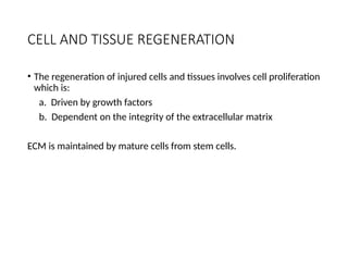 5. TISSUE REPAIR AND REGENERATION.pptx for education | PPTX