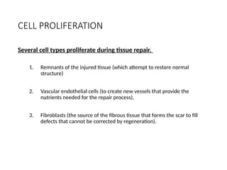 5. TISSUE REPAIR AND REGENERATION.pptx for education | PPTX