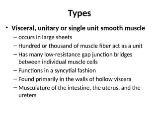 Smooth muscle powerpoint presentation with slides | PPTX