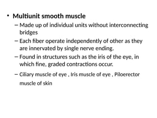 Smooth muscle powerpoint presentation with slides | PPTX