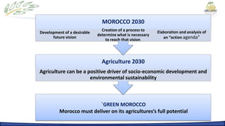 F1. Agriculture 2030. A future for Morocco | PPT