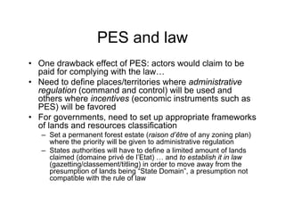 Alain Karsenty: Does the property of 'carbon' matter? | PDF ...