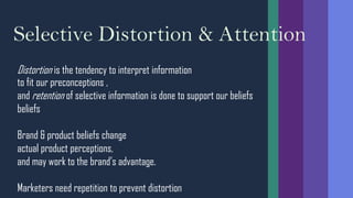 5-(II) major psychological processes influencing consumer responses | PPT