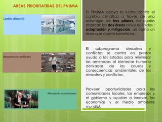 5.2 organismos internacionales que evaluan el desempeño ambiental | PPTX