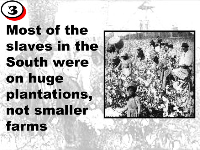 Southern Plantations & Slavery | PPT | Free Download