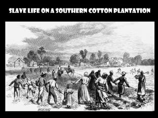 Southern Plantations & Slavery | PPT
