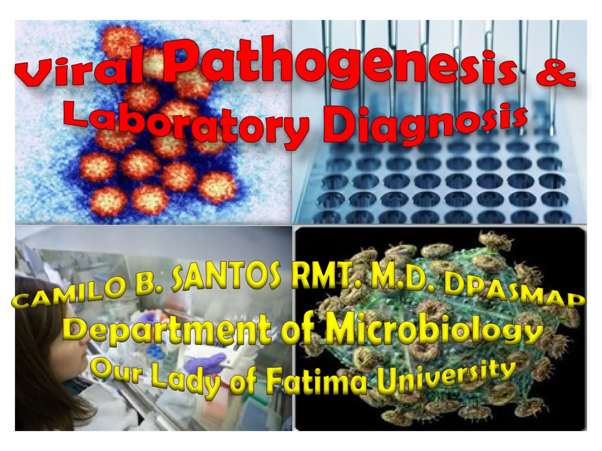 5-2 Viral Pathogenesis & Laboratory Diagnosis.ppt
