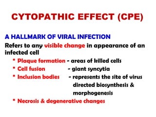 5-2 Viral Pathogenesis & Laboratory Diagnosis.ppt