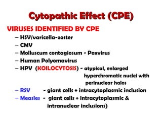 5-2 Viral Pathogenesis & Laboratory Diagnosis.ppt