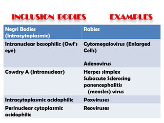 5-2 Viral Pathogenesis & Laboratory Diagnosis.ppt