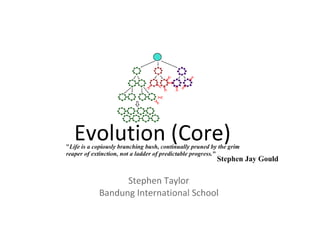 Evolution (Core) | PPT