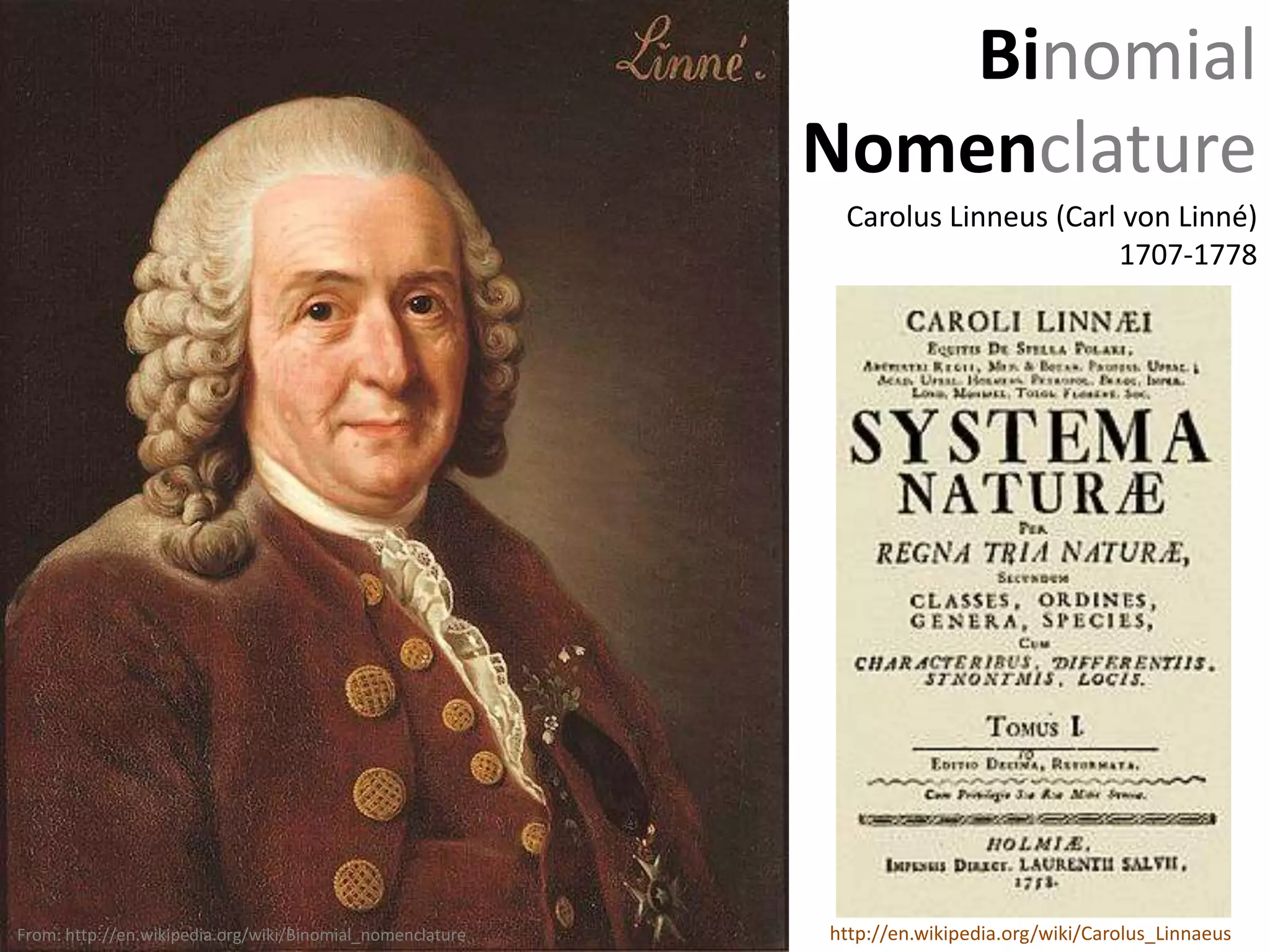 Classification (IB Biology) | PPTX