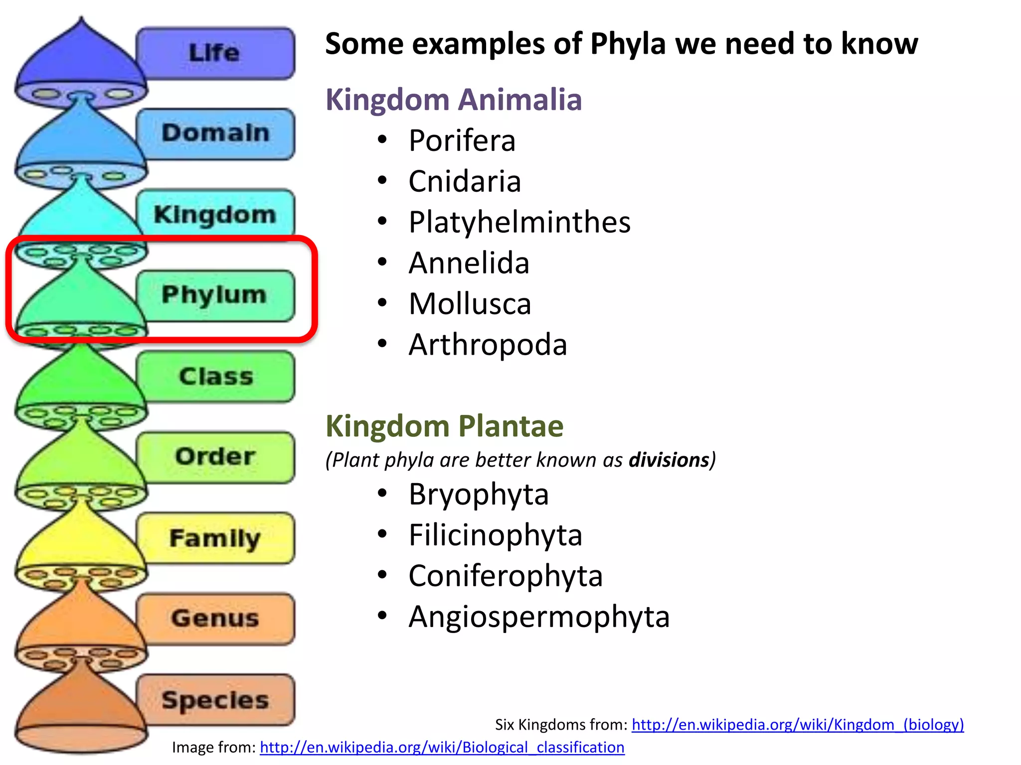 Classification (IB Biology) | PPTX