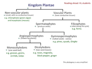 Classification (IB Biology) | PPTX
