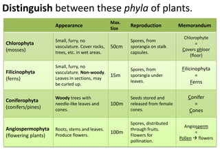 Classification (IB Biology) | PPTX