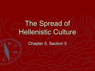 5.5 the spread of hellenistic culture | PPT