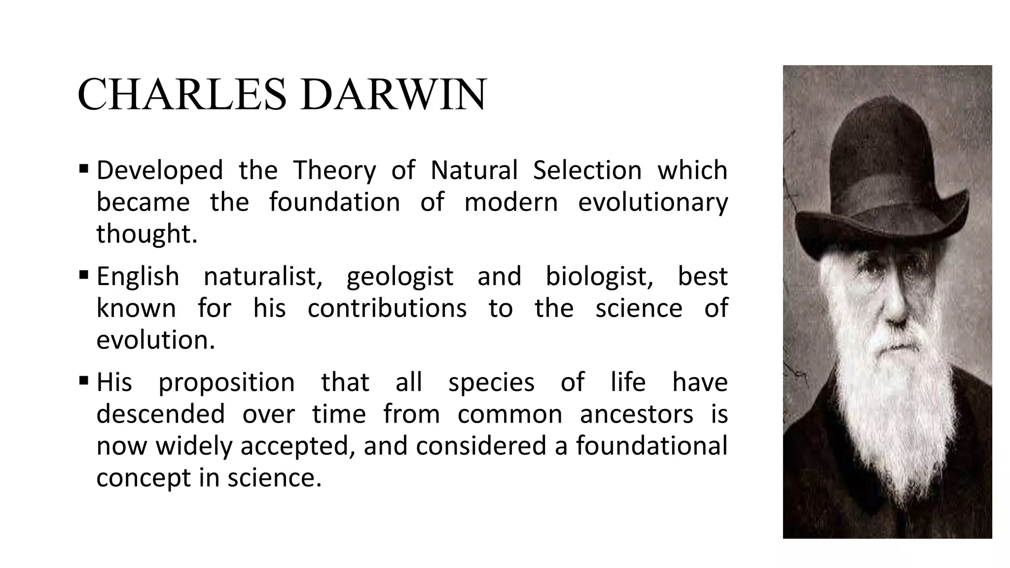 The origin of man and civilization | PPTX