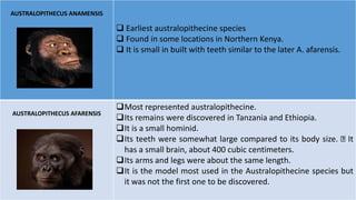 The origin of man and civilization | PPTX