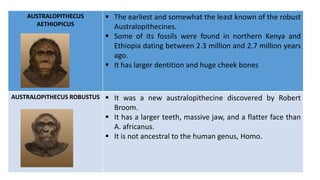 The origin of man and civilization | PPTX