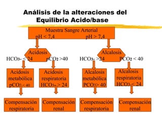 5 alteraciones acido-base | PPT