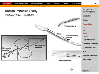 Intestinal Permeability Determination and Absorption of Soluble Drugs ...