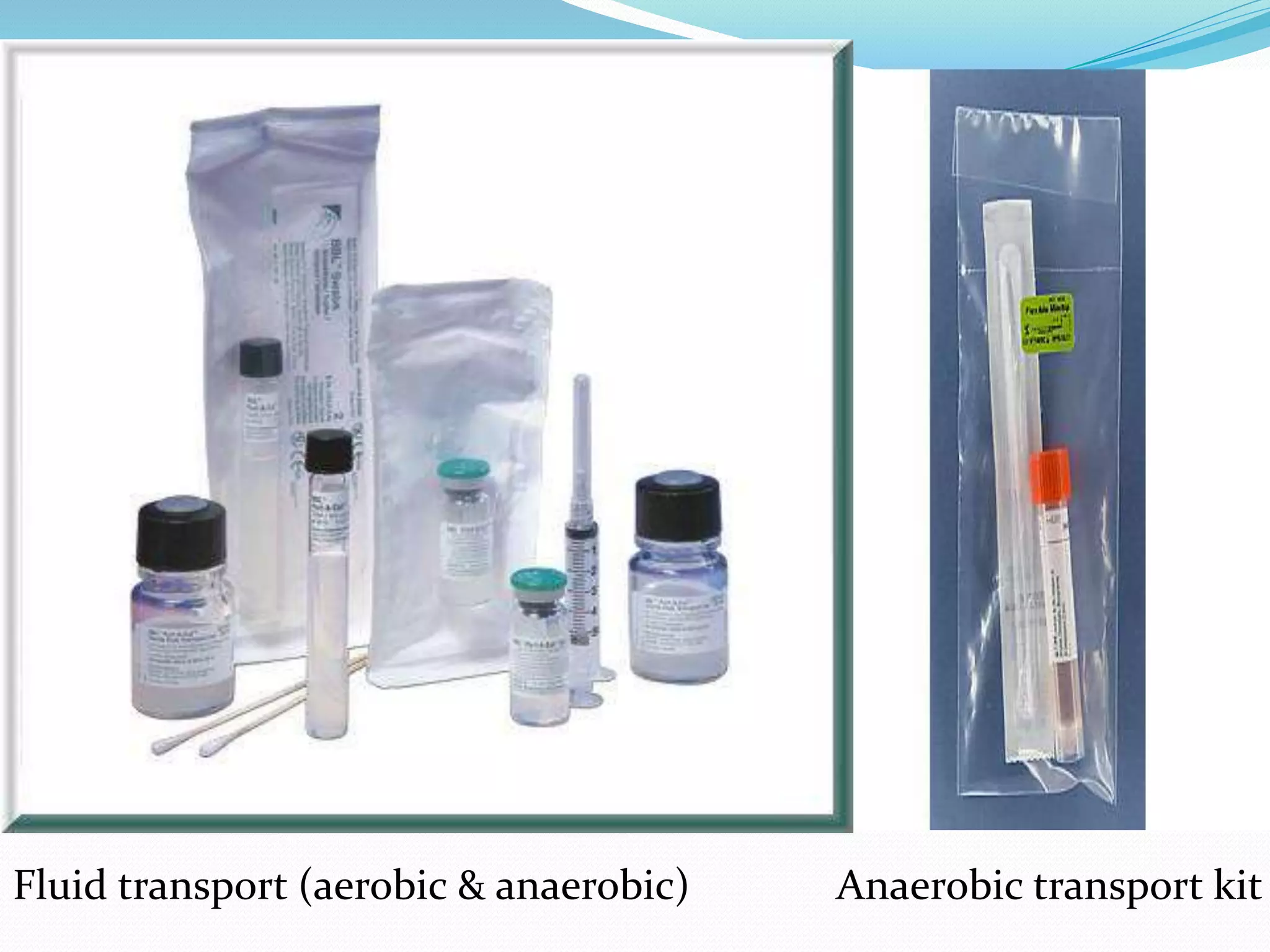 Anaerobic Culture Methods | PPTX