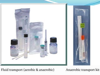 Anaerobic Culture Methods | PPTX