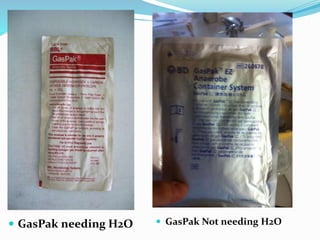 Anaerobic Culture Methods | PPTX