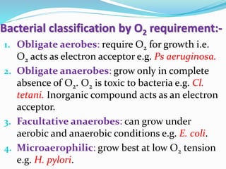Aerobic And Anaerobic Wound Cultures