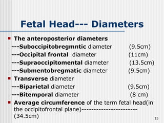 5.Anatomic Characteristics Of The Fetal Head And Maternal | PPT