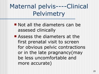 5.Anatomic Characteristics Of The Fetal Head And Maternal | PPT