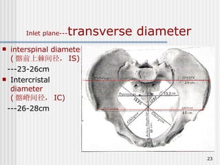 5.Anatomic Characteristics Of The Fetal Head And Maternal | PPT