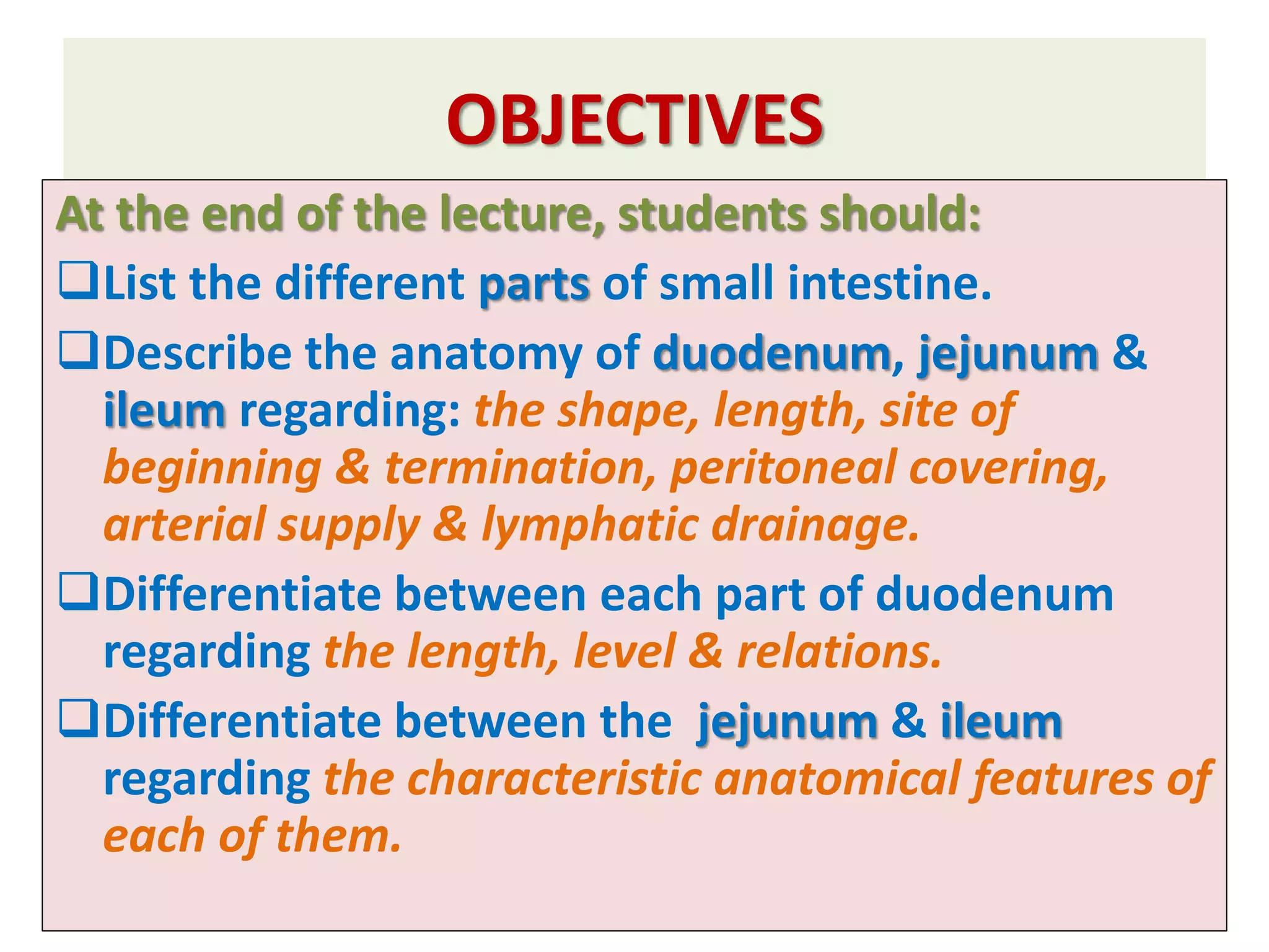 5-ANATOMY OF SMALL INTESTINE.ppt