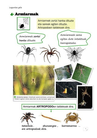 5 animalia ornogabeak zubia santillana | PDF