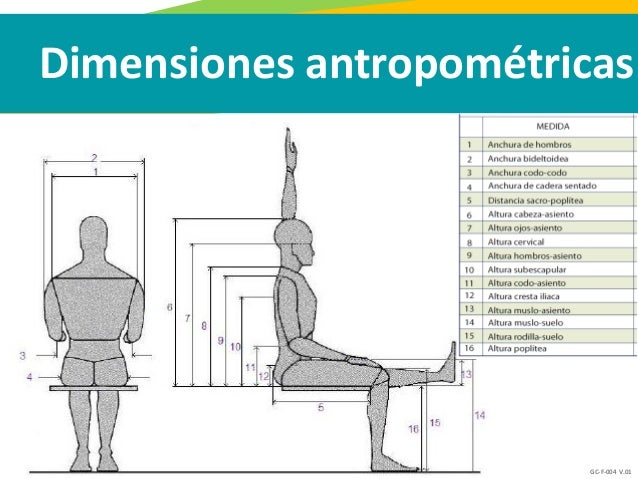 5 antropometría, escala y proporción
