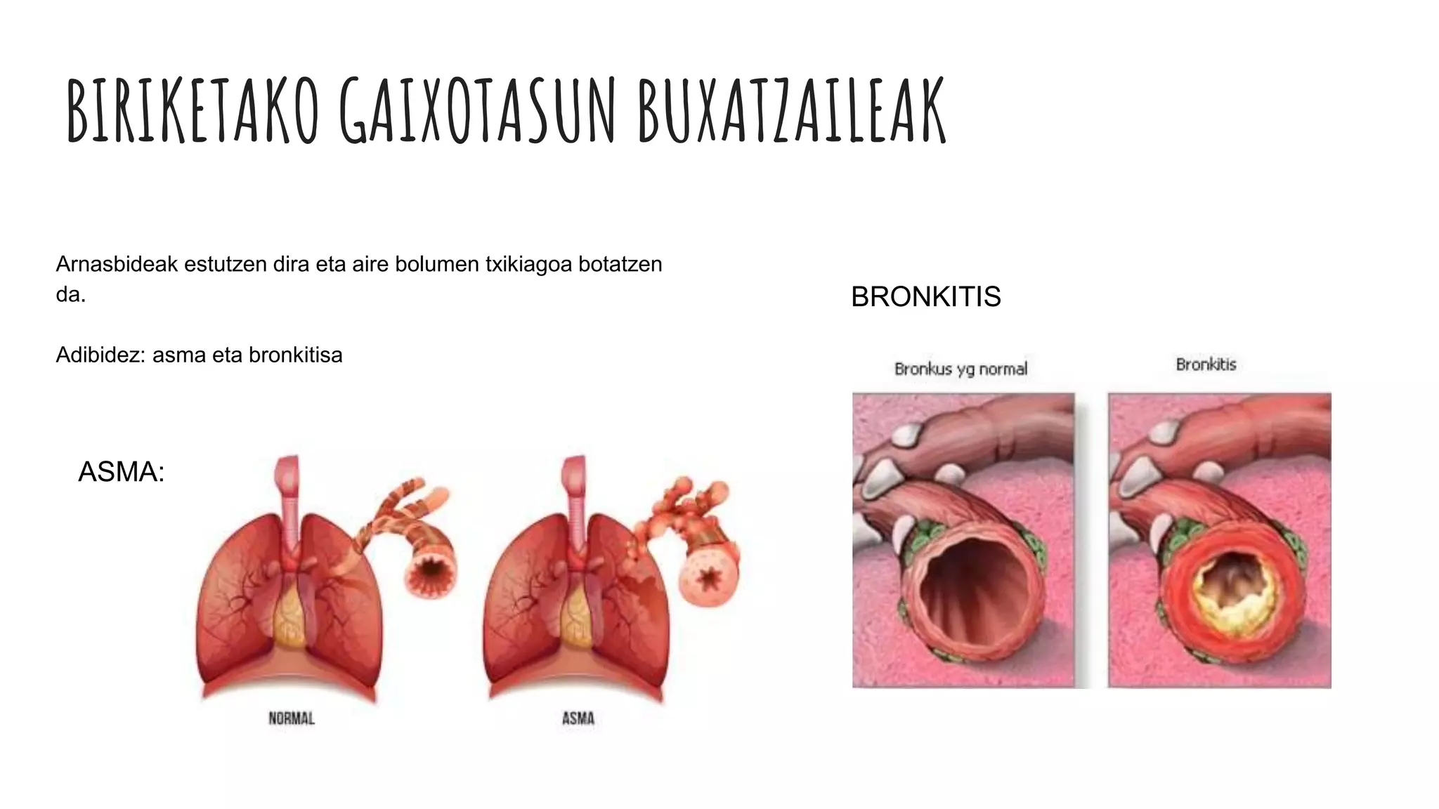 5 arnas aparatuaren gaixotasunak | PPTX