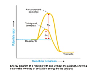 B.Sc. I Year Physical Chemistry_Unit-IV_B. Chemical Kinetics_Catalysis ...