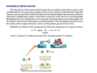 B.Sc. I Year Physical Chemistry_Unit-IV_B. Chemical Kinetics_Catalysis ...