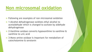 5-Biotransformation and metabolism .pptx