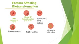 5-Biotransformation and metabolism .pptx