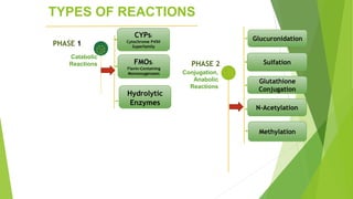 5-Biotransformation and metabolism .pptx