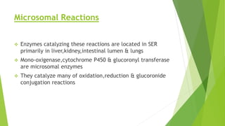 5-Biotransformation and metabolism .pptx